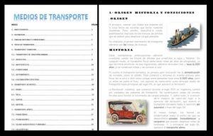 Transportation Report PDF (Document) • Designs CAD