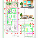 Magnolia Tree 2D DWG Elevation for AutoCAD • Designs CAD