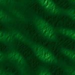 Foliage 2D BMP Graphics Graphics • Designs CAD