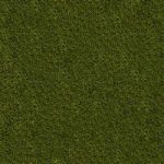 Grass 2D BMP Graphics Graphics • Designs CAD