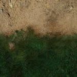 Grass With Ground 2D BMP Graphics Graphics • Designs CAD