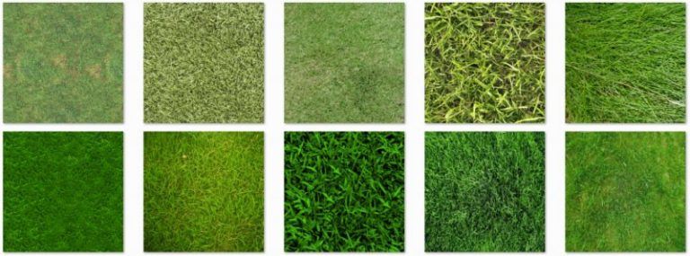 Green Grass Texture, Images 2D BMP Graphics Graphics • Designs CAD
