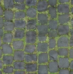 Paving Stone And Grass 2D BMP Graphics Graphics • Designs CAD