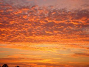 Sky 2D BMP Graphics (Pattern/Texture/Material) Graphics • Designs CAD