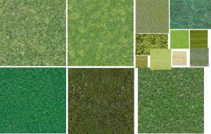 Texture Of Grass And Vegetation 2D BMP Graphics Graphics • Designs CAD