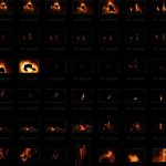 Fire Suppression ;Fire Detection DWG Block for AutoCAD • Designs CAD