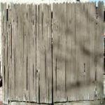 Textures Of Wood 2D BMP Graphics Graphics • Designs CAD