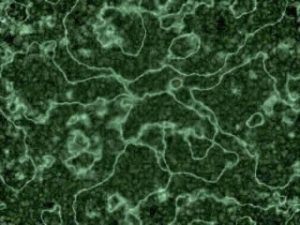 Water Green Colour 2D BMP Graphics Graphics • Designs CAD