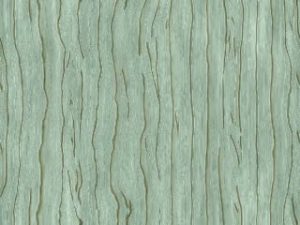 Wood With Veins 2D BMP Graphics Graphics • Designs CAD