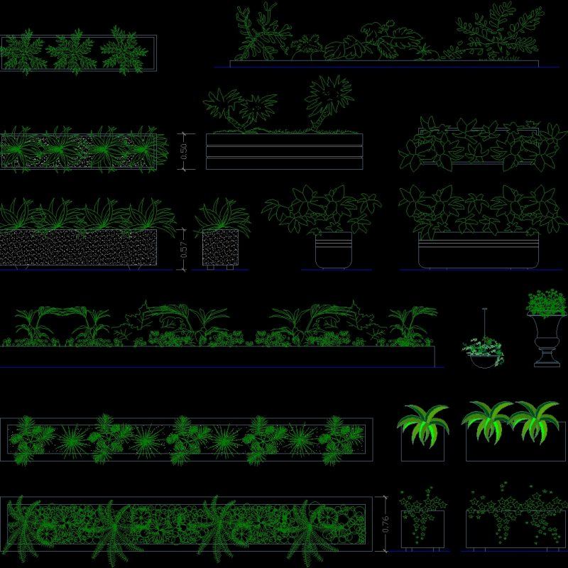 Bushes - Elevation DWG Elevation for AutoCAD • Designs CAD