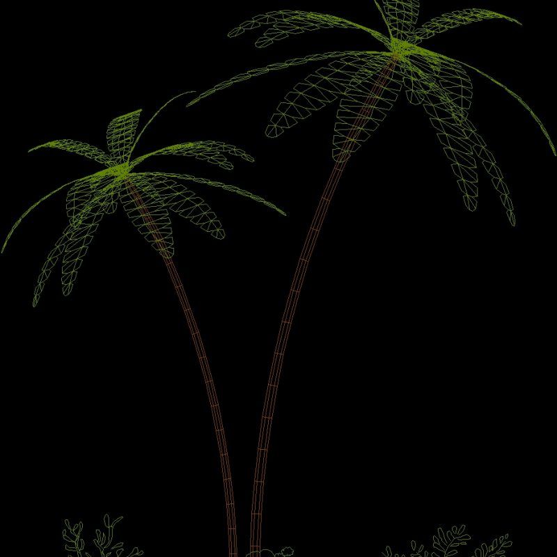 Coconut Tree with Shrubs 2D DWG Elevation for AutoCAD • Designs CAD