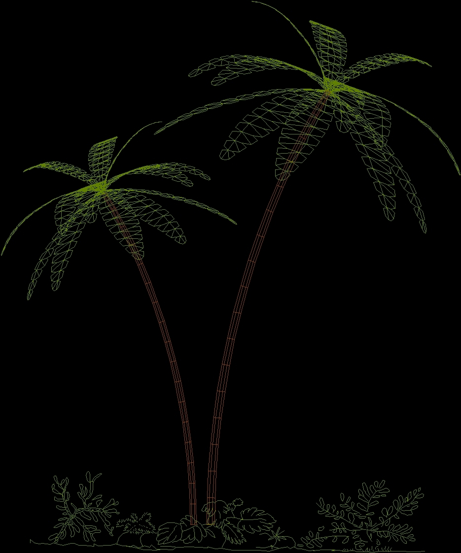 Coconut Tree with Shrubs 2D DWG Elevation for AutoCAD • Designs CAD