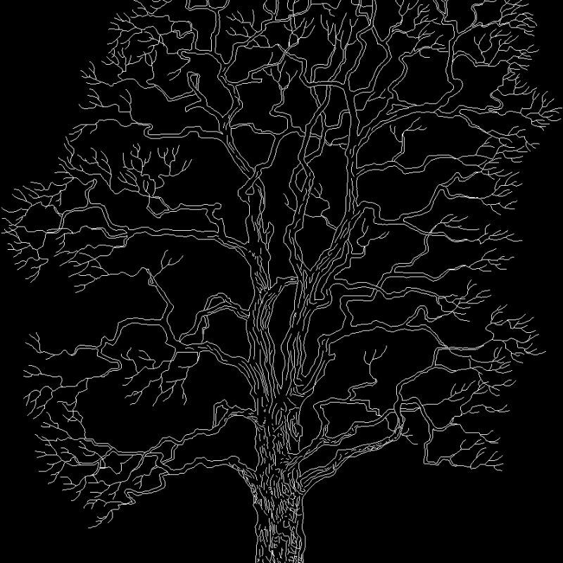 Complex Tree DWG Detail for AutoCAD | DesignsCAD