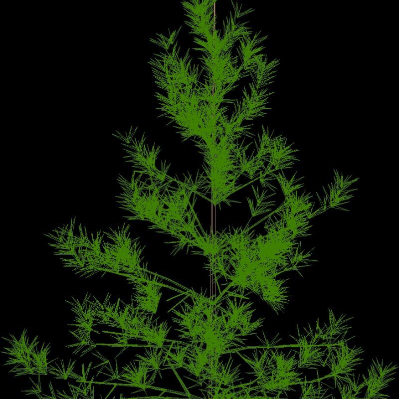 Coniferous Tree 3D DWG Model for AutoCAD • Designs CAD
