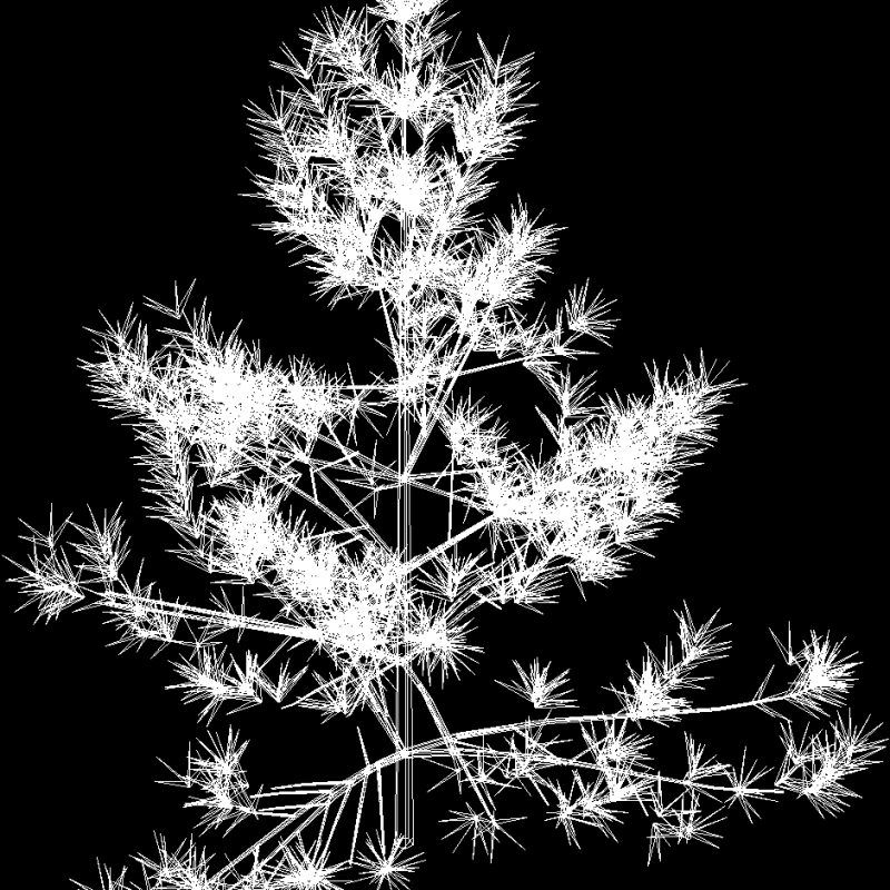 Coniferous Tree 3D DWG Model for AutoCAD • Designs CAD