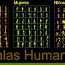 Human Scales DWG Block for AutoCAD • Designs CAD