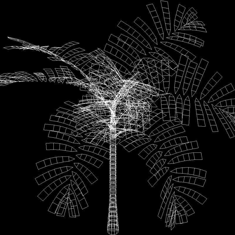 Palm 3D DWG Model for AutoCAD • Designs CAD