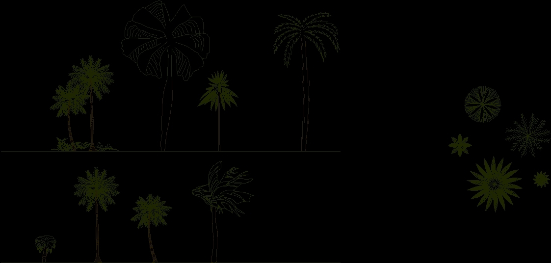 Palm And Coconut 2D DWG Full Project for AutoCAD • Designs CAD