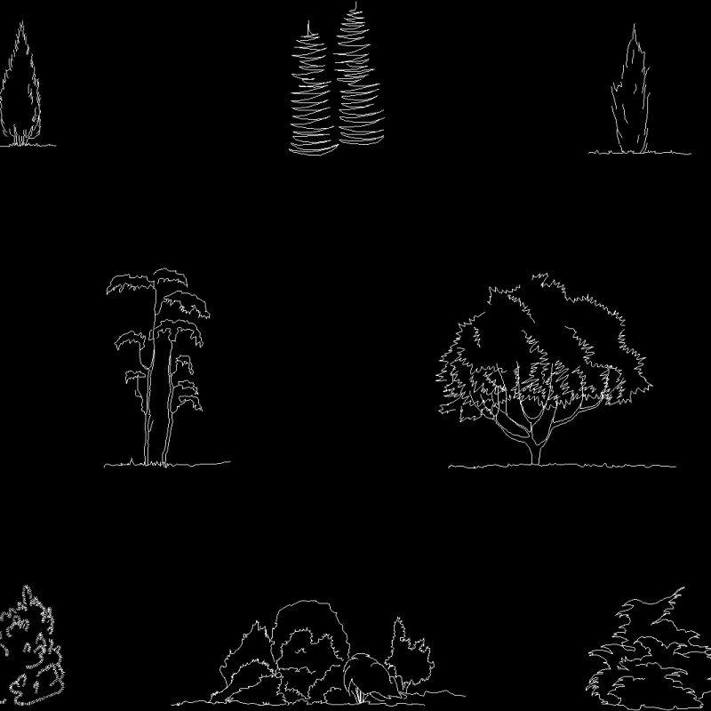 Several Blocks Of Trees DWG Block for AutoCAD • Designs CAD