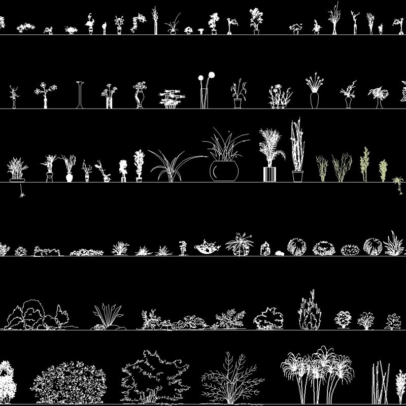 Shrubs And Plants 2D DWG Block for AutoCAD • Designs CAD