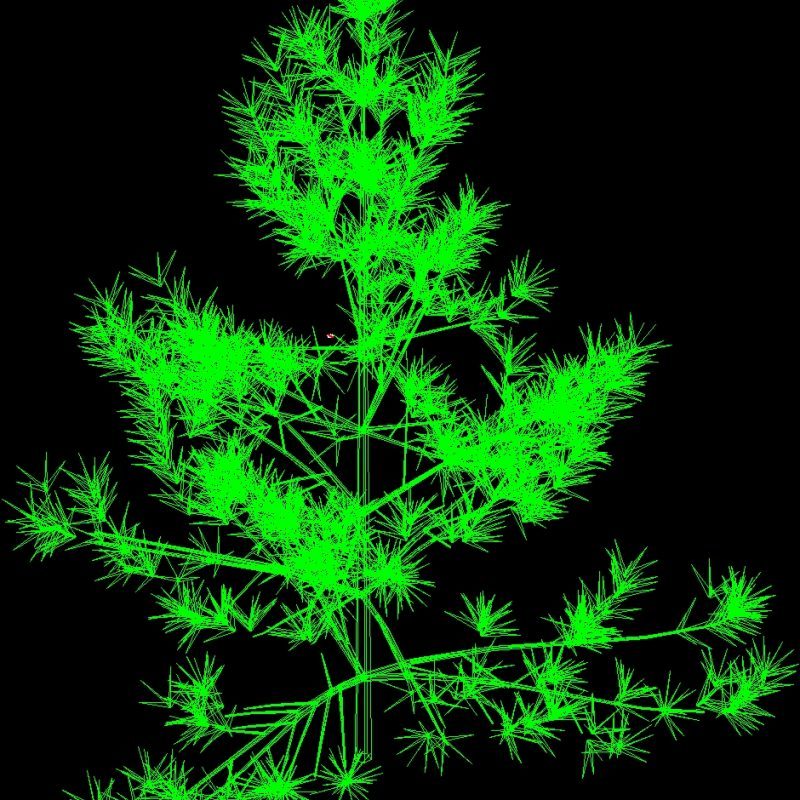 Tree 3D DWG Model for AutoCAD • Designs CAD