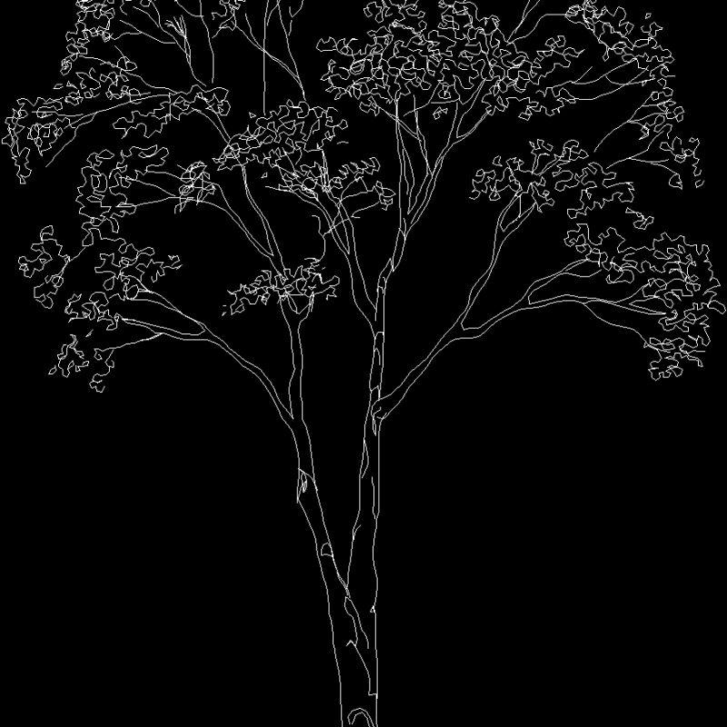 Tree DWG Block for AutoCAD • Designs CAD
