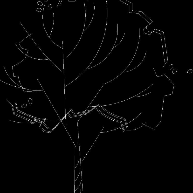Tree DWG Elevation for AutoCAD • Designs CAD