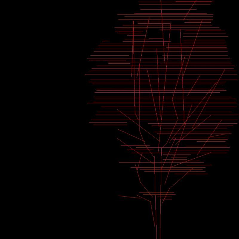 Tree Elevation 2D DWG Elevation for AutoCAD • Designs CAD