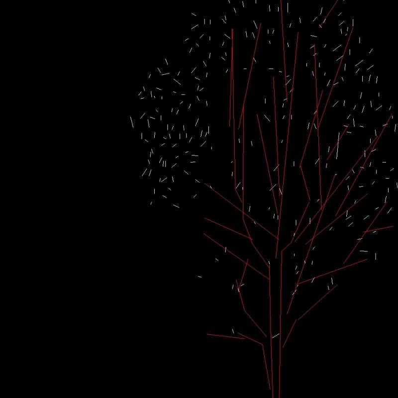Tree Elevation 2D DWG Elevation for AutoCAD • Designs CAD