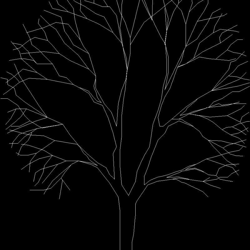 Trees 2D DWG Block for AutoCAD • Designs CAD