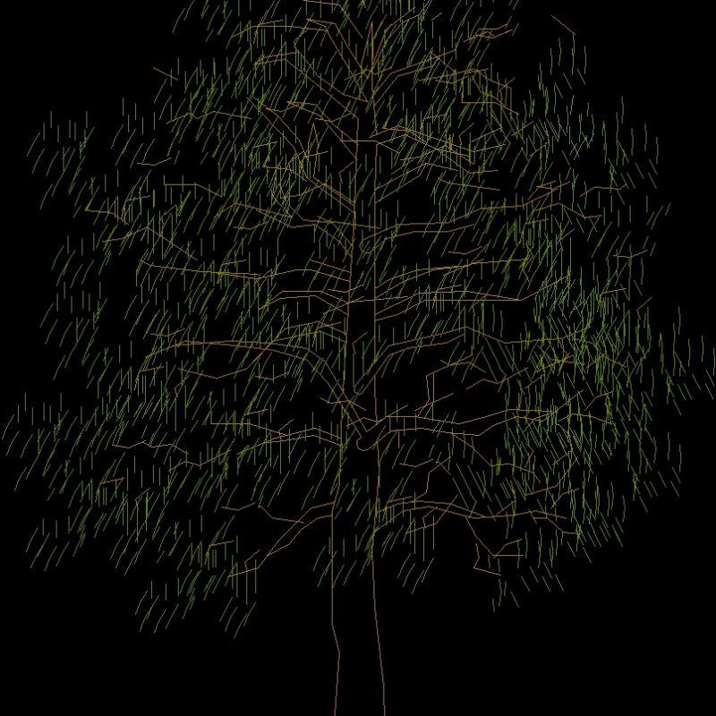 Trees 2D DWG Block for AutoCAD • Designs CAD