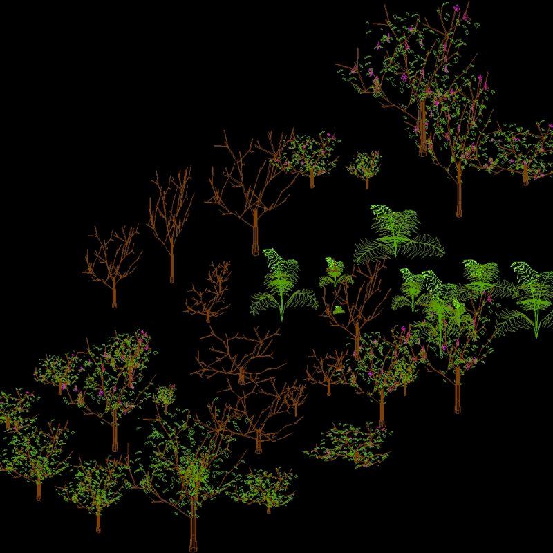 Trees 3D DWG Model for AutoCAD • Designs CAD