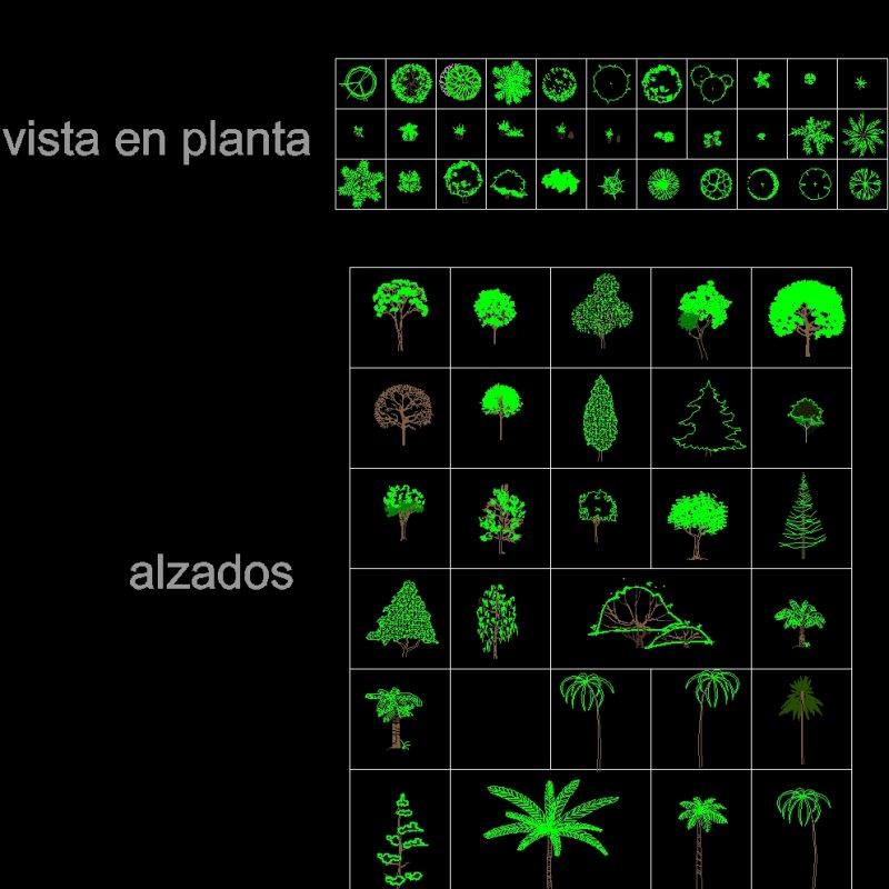 Trees And Palms 2D DWG Plan for AutoCAD • Designs CAD