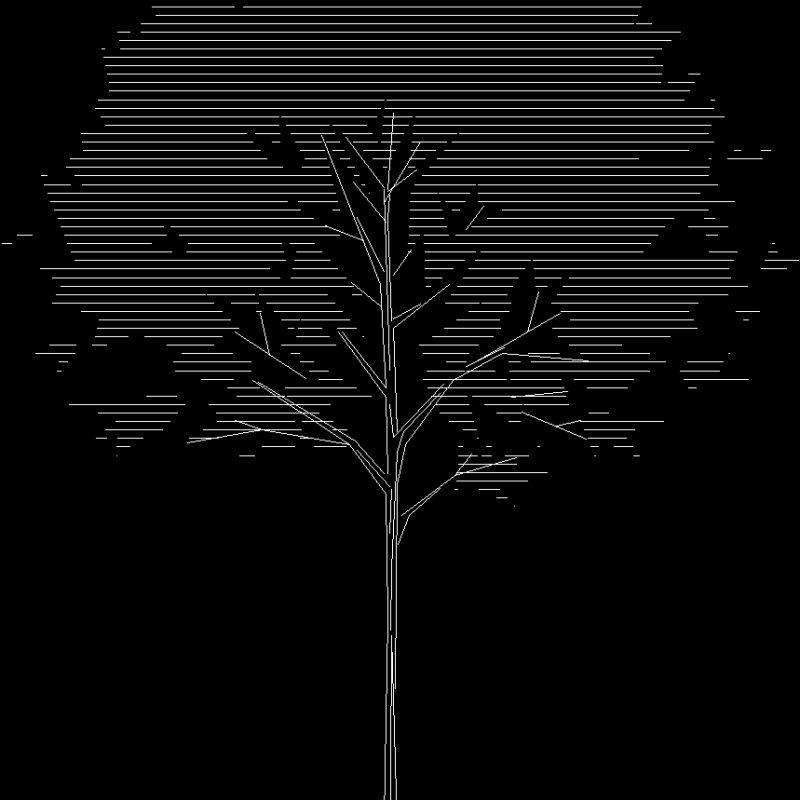 Trees DWG Block for AutoCAD • Designs CAD