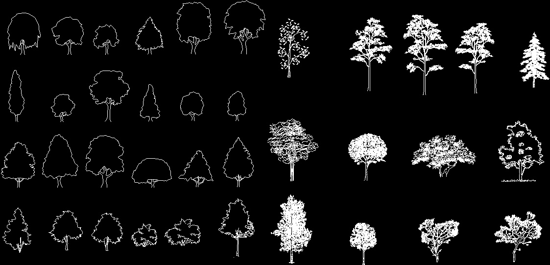 Trees DWG Plan For AutoCAD Designs CAD