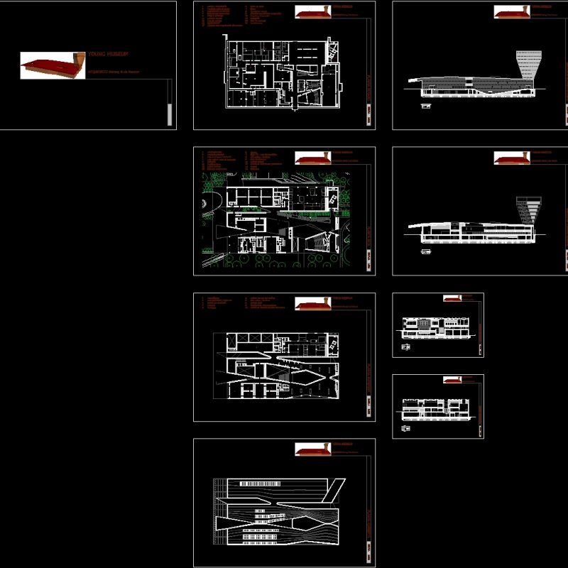 Young Museum DWG Section for AutoCAD • Designs CAD