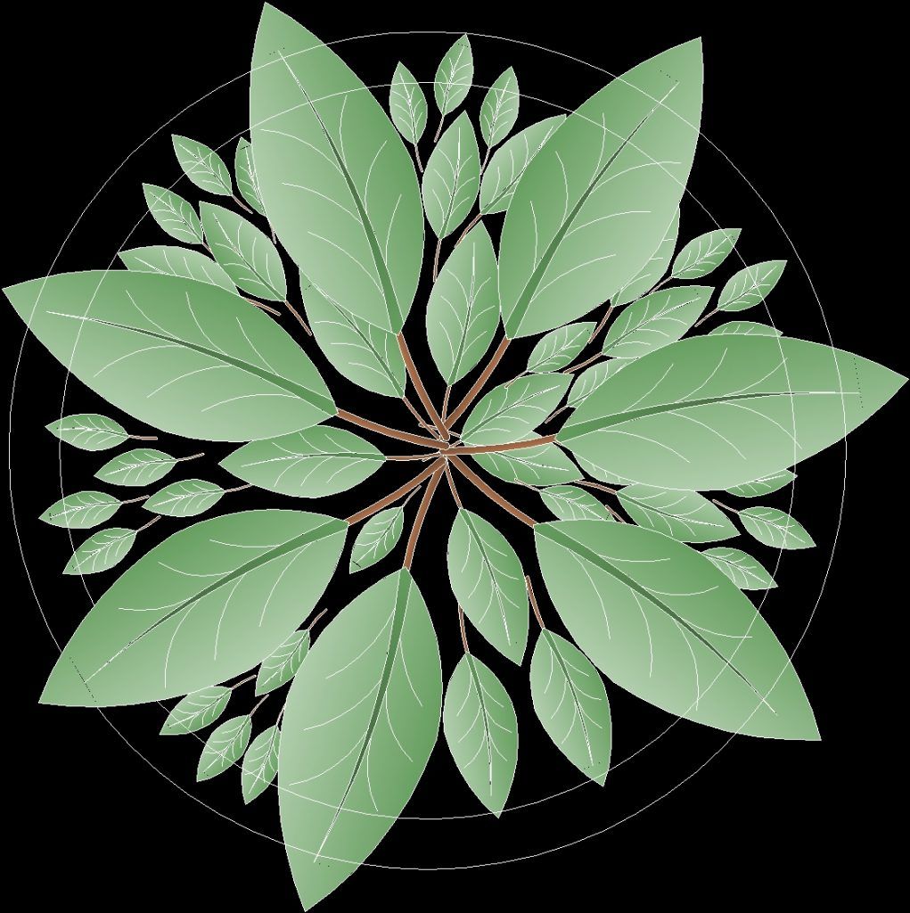 Color Blocks DWG Full Project for AutoCAD • Designs CAD