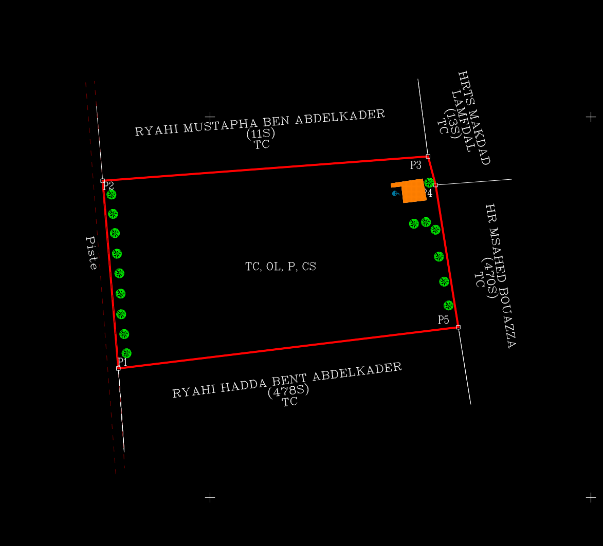 Farm Parcellary Plot Plan | DesignsCAD