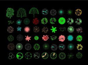Trees Shrubs And Palm Trees Plants Elevation And Top View Plan 2D DWG ...