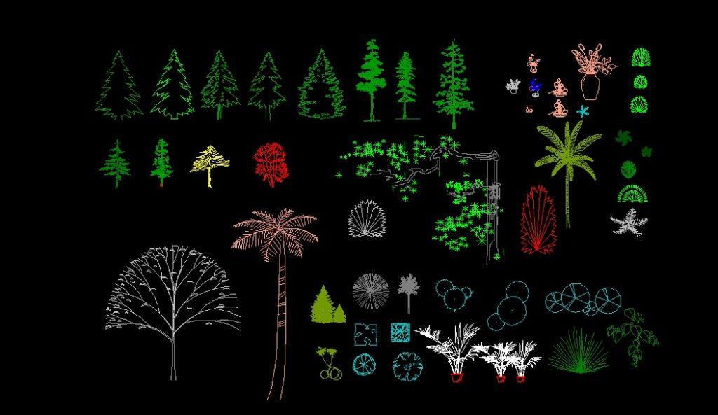 Trees Palm Trees Shrubs And Plants Pots Elevation And Top View 2D DWG ...