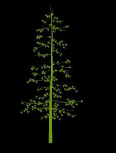 Pine Tree Winter Christmas Front Elevation Elevation 2D DWG Block For ...