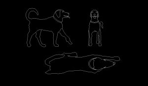 People Human Figures Men And Women Top View Plan 2D DWG Block For ...