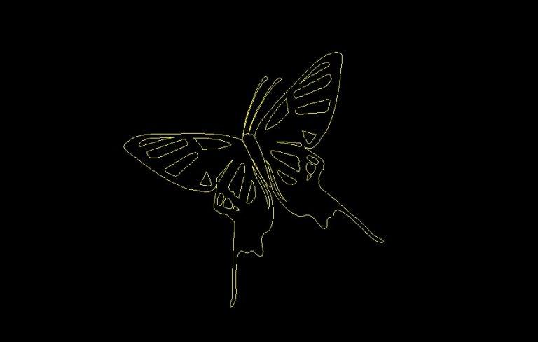 Flying Butterfly Insect Animal Top View Plan 2D DWG Block For AutoCAD ...