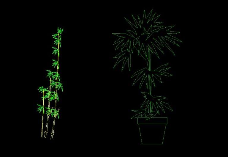 Bamboo Tree Parlor Palm Plant Front View Elevation 2D DWG Block For ...