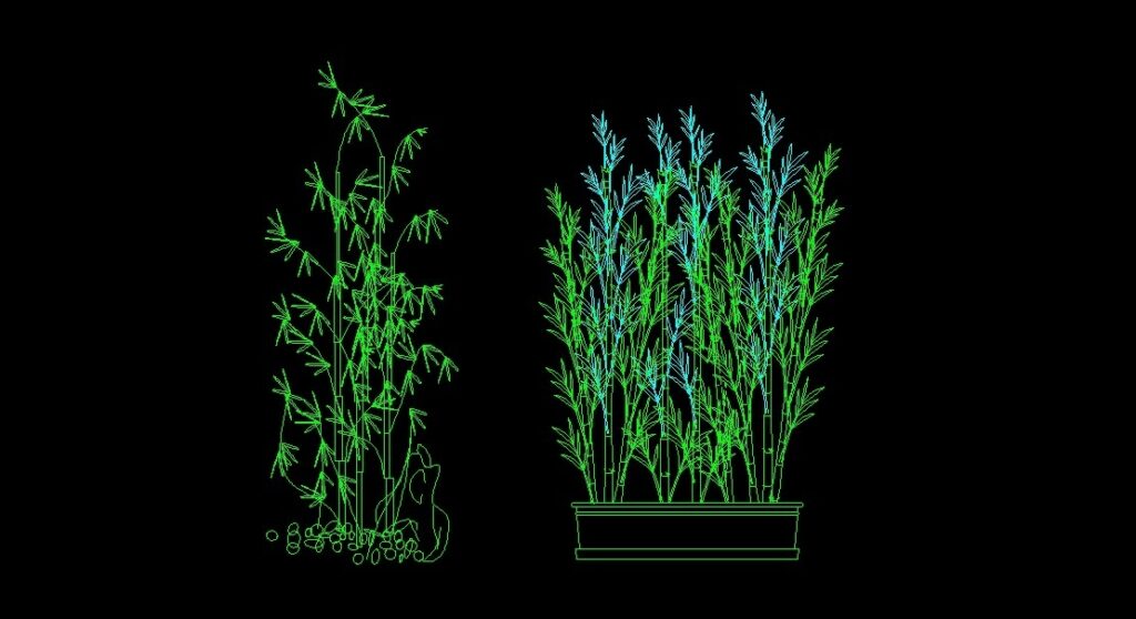 Bamboo Tree Plant Front View Elevation 2D DWG Block For AutoCAD ...