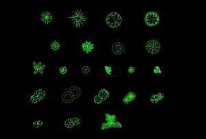 Trees And Palm Trees Plants Top View Plan 2D DWG Block For AutoCAD ...