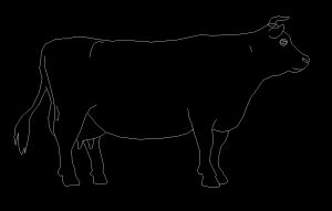 Cow Animal Standing Side View Elevation 2D DWG Block For AutoCAD ...